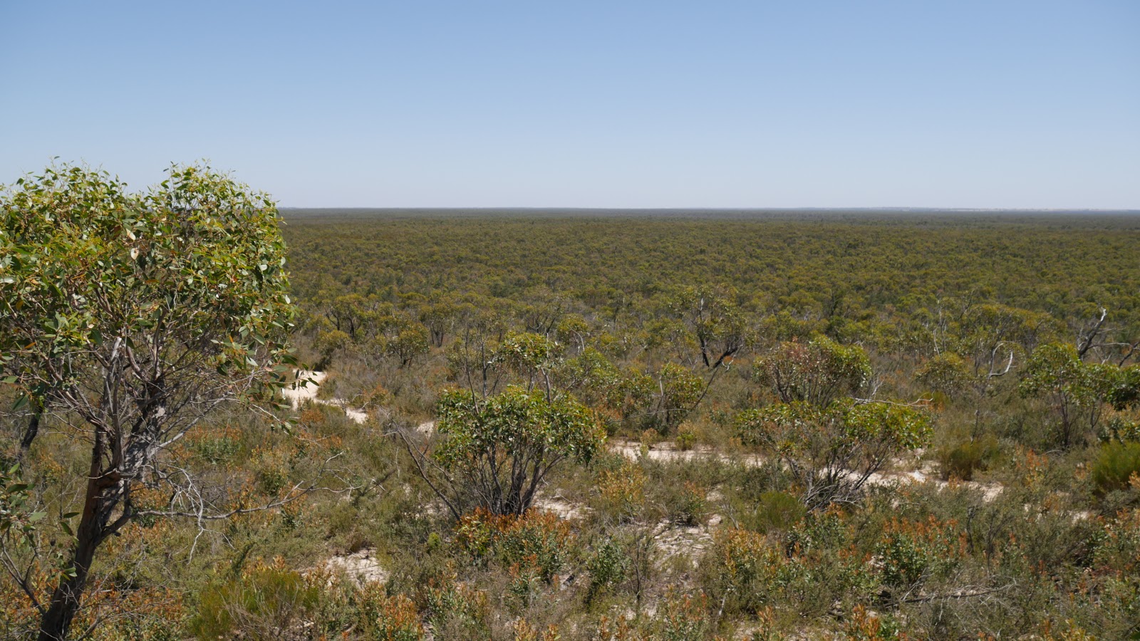 Expedition 4x4: Big Desert National Park 4x4 Adventure Camping