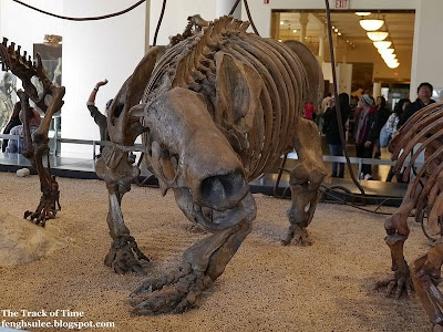 American Museum of Natural History - Primitive Mammals | The Track of Time