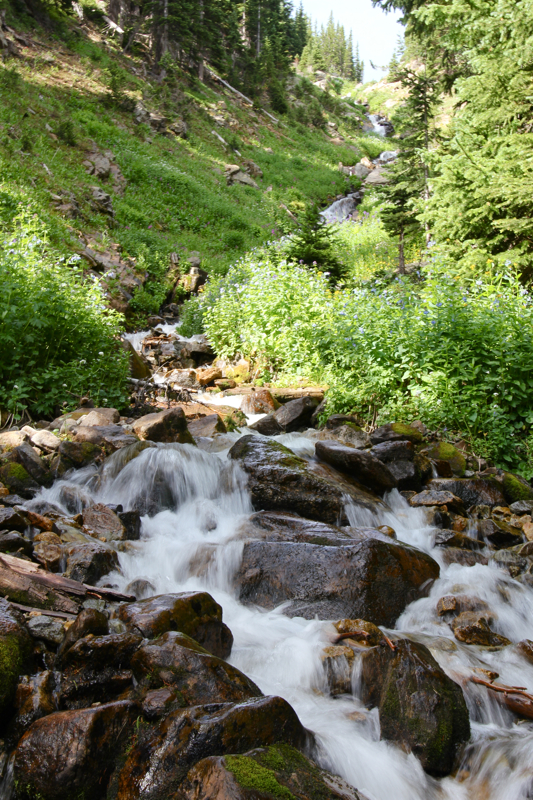 Colorado Lifestyle: Butler Gulch