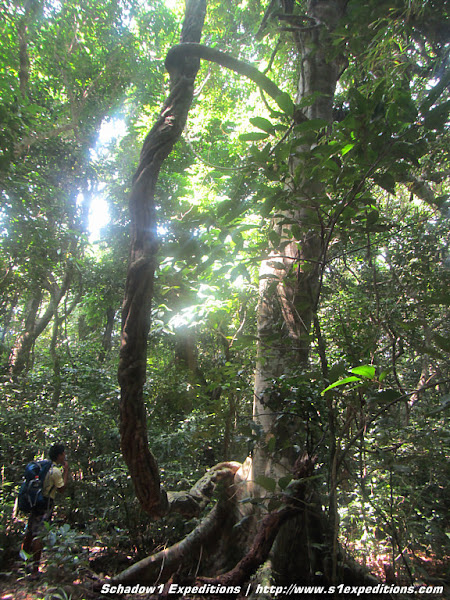 Palaui Island and the Serene Cape Engano, a mountaineer and a beach bum ...