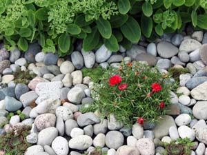How To Use Pebbles For Gardening