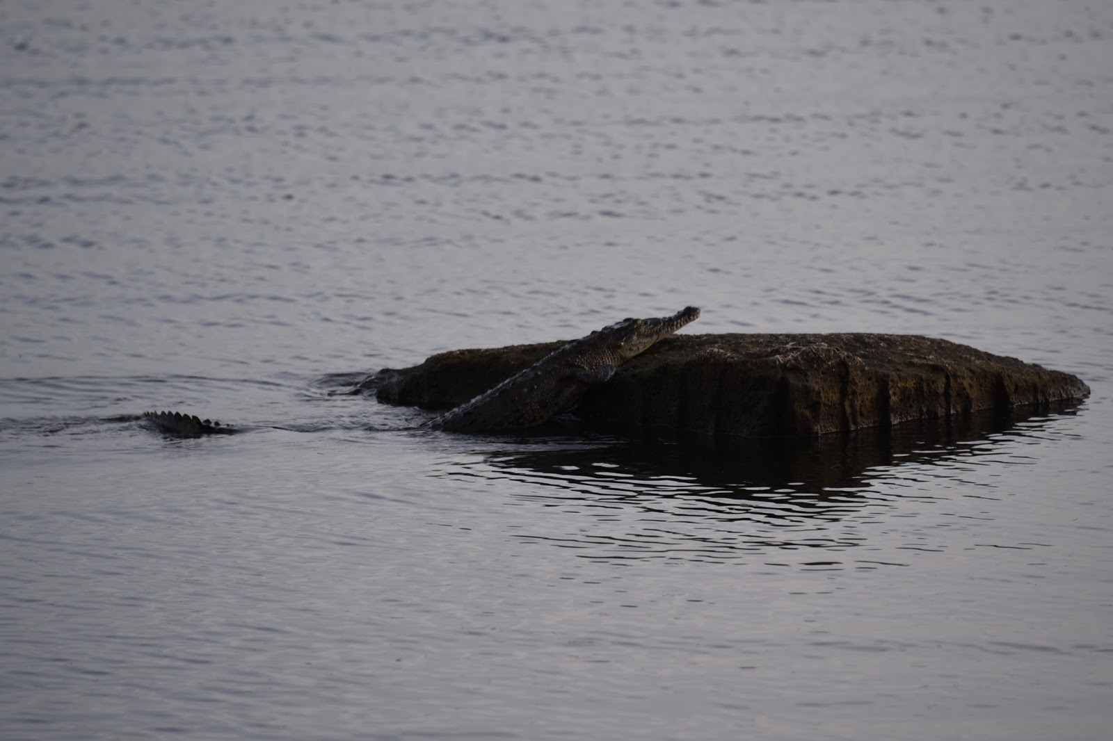 Visions From Key West