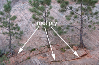 Geography: Space, Place and Pretty Wellies: Glacial Erosion