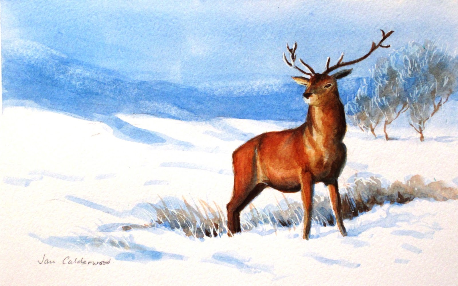 Jan's Art Tips: My current work - snow, January 2013