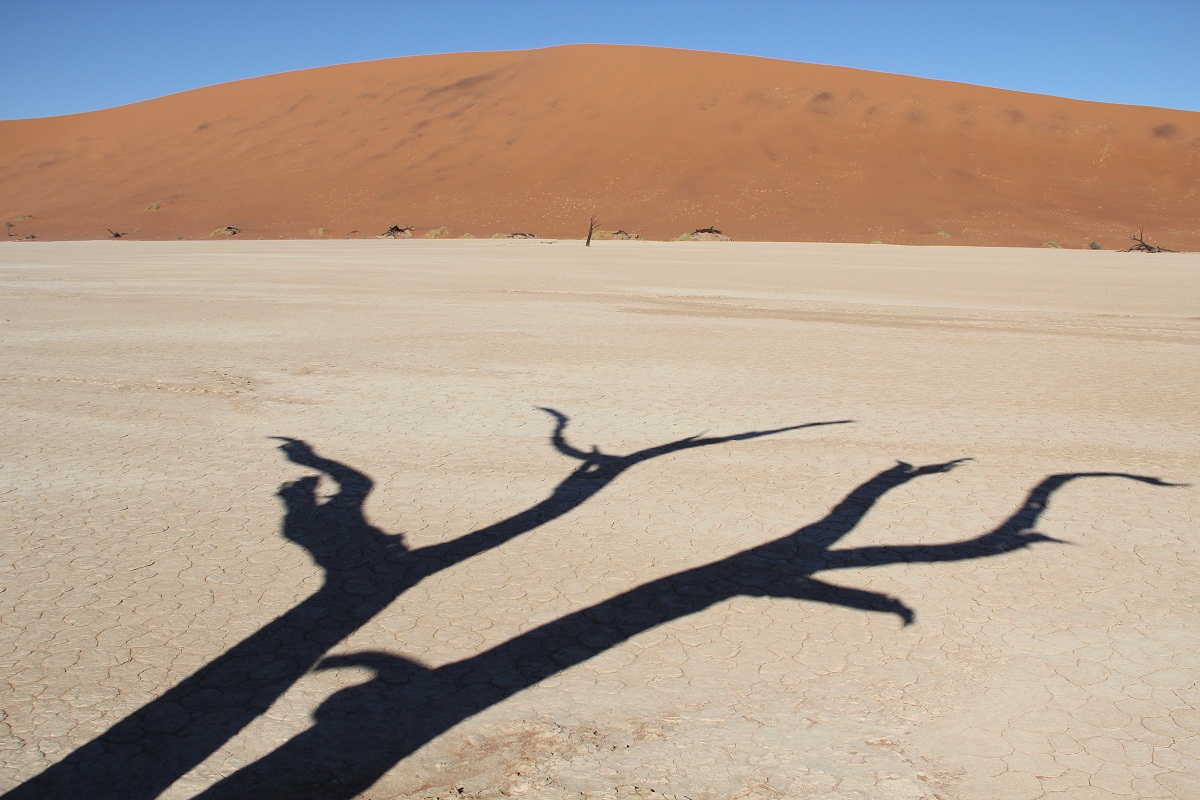 Round the World: Namibia: And now, pictures of pretty animals ...