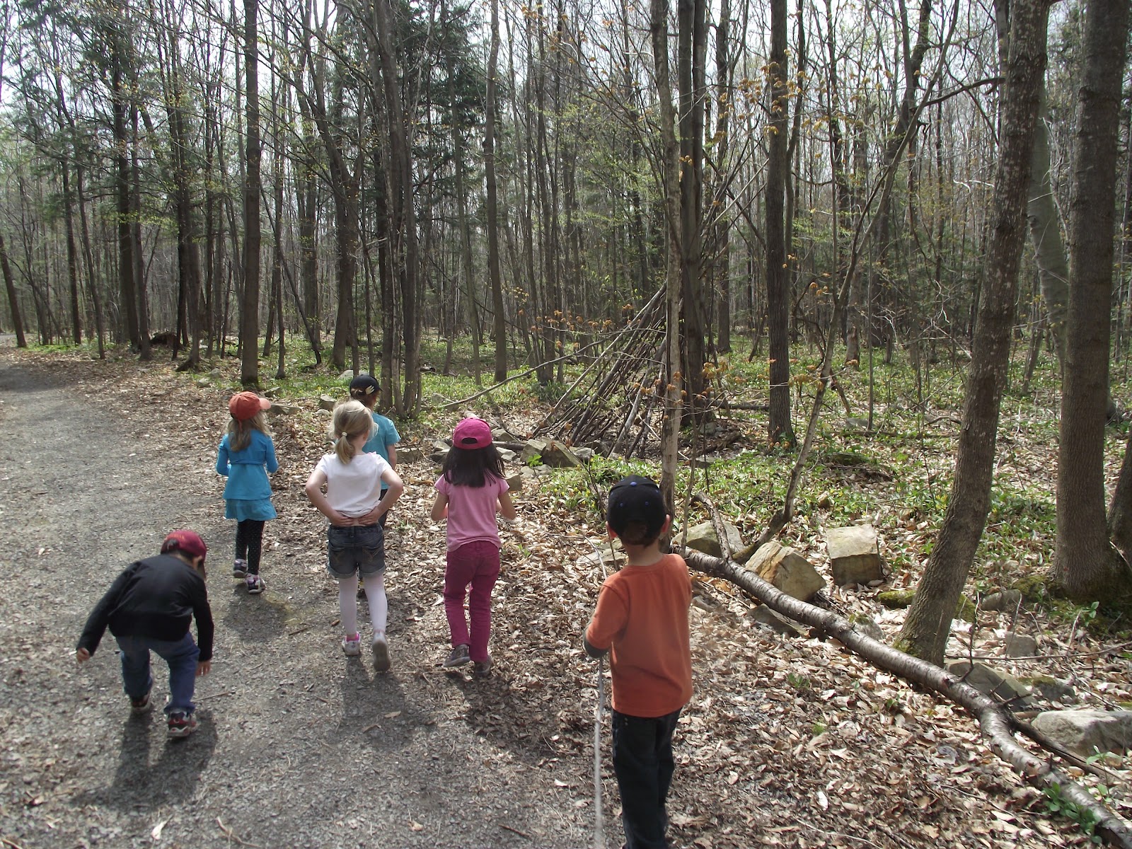La maternelle de madame Francesca: Notre promenade dans les bois!