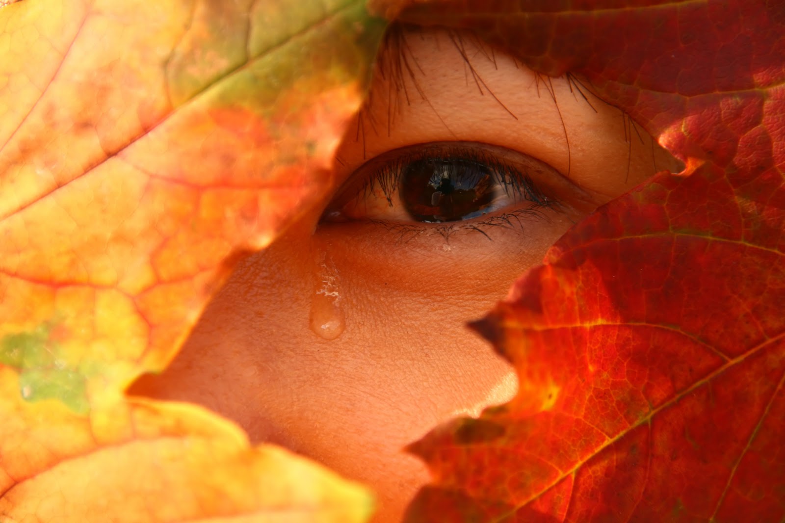 Amadeirado: Em quanto tempo vou curar isso na minha vida?