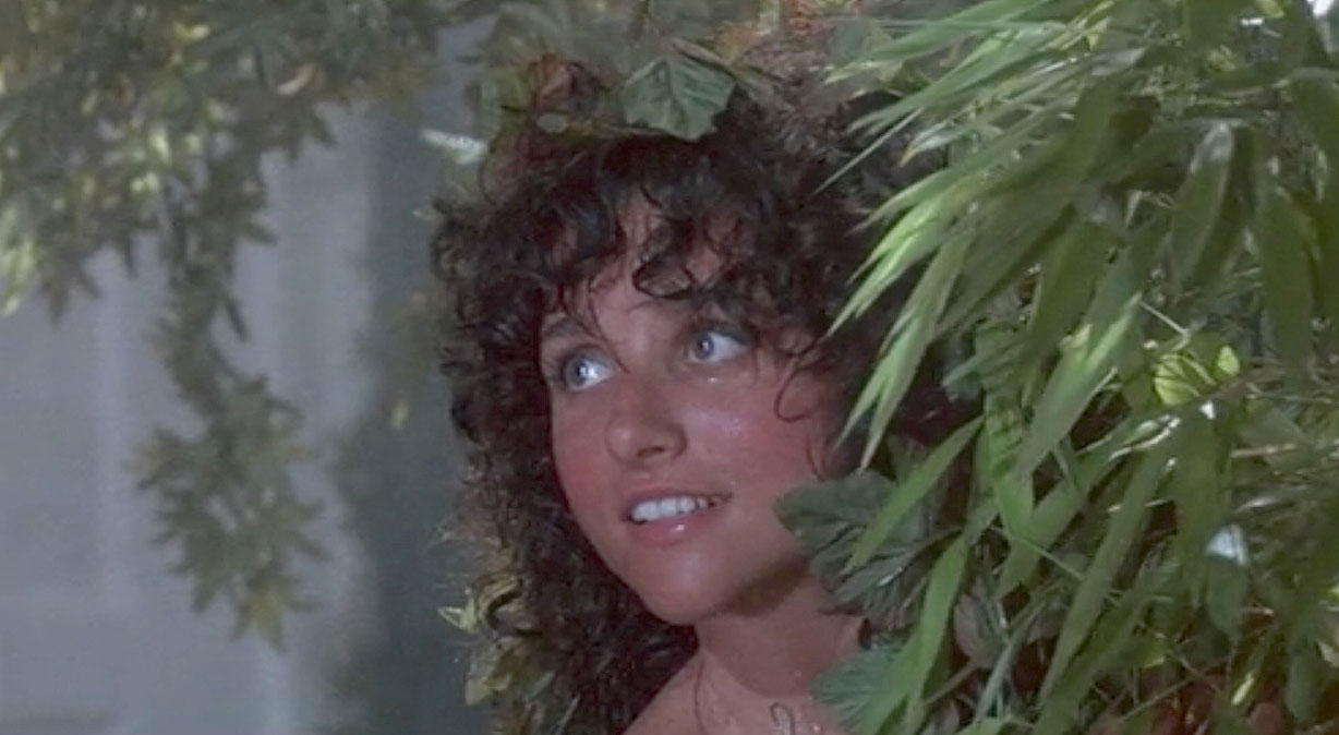 Monster Vision: Troll A.K.A Torok El Troll (1986) Español