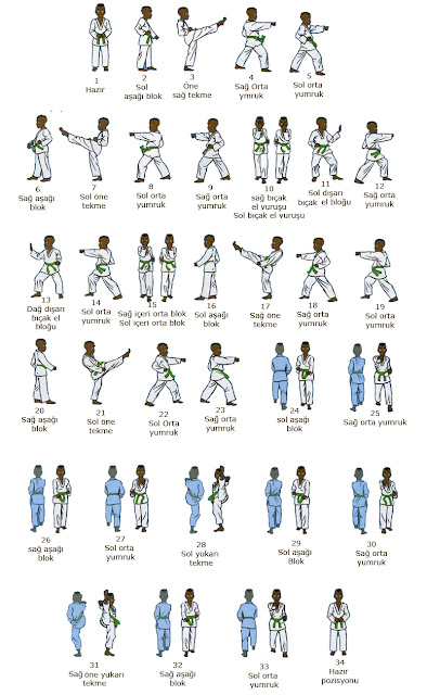 Poomse Teknik3 | Hendek Taekwondo