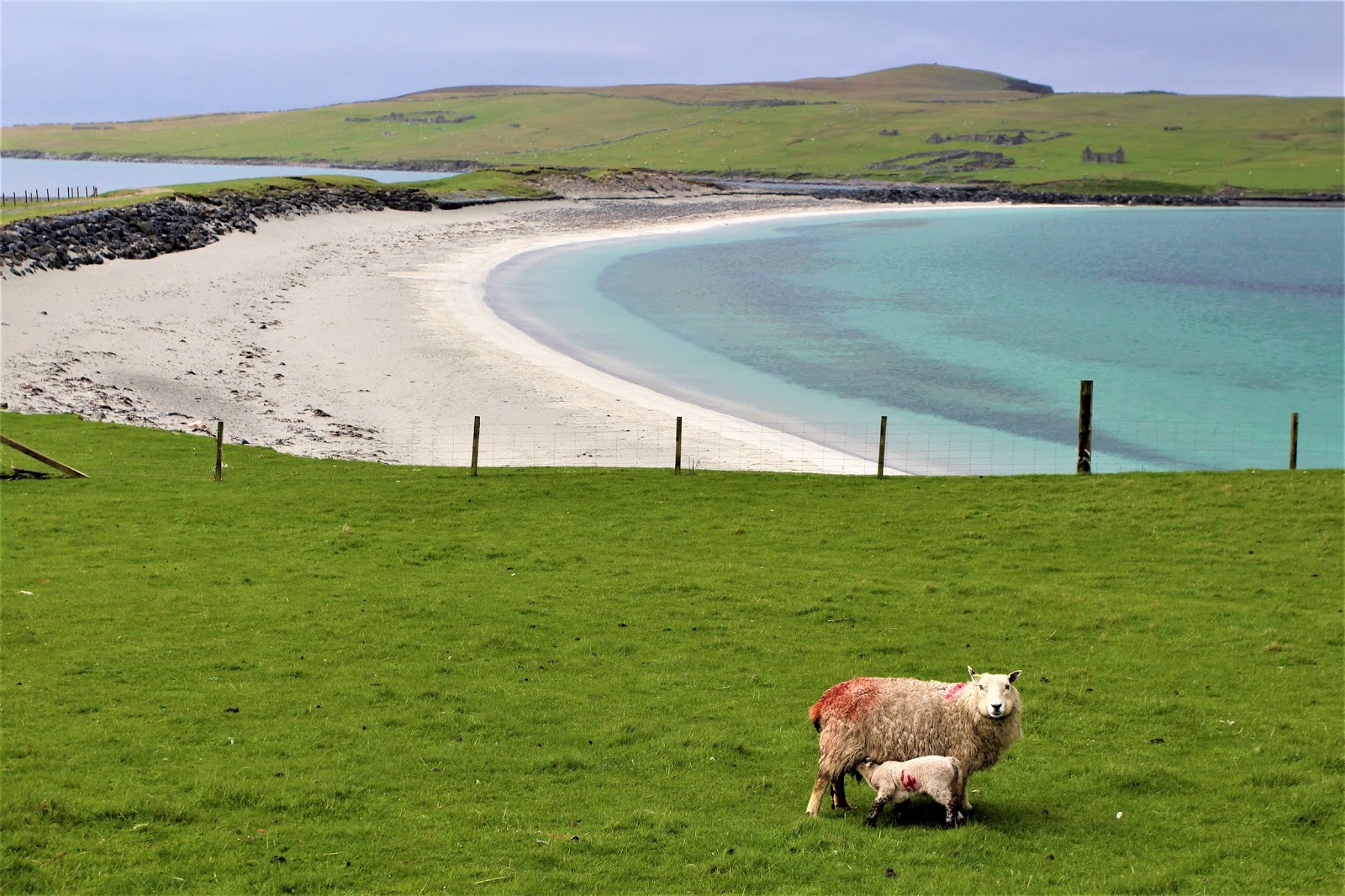 Shetland, Scotland