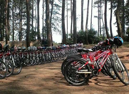 JUNGLE GOWES : Bersepeda di Hutan Wisata Lembang Bandung