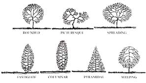 Blog Mas Danang: Hutan dan Apa Yang Ada di Dalamnya