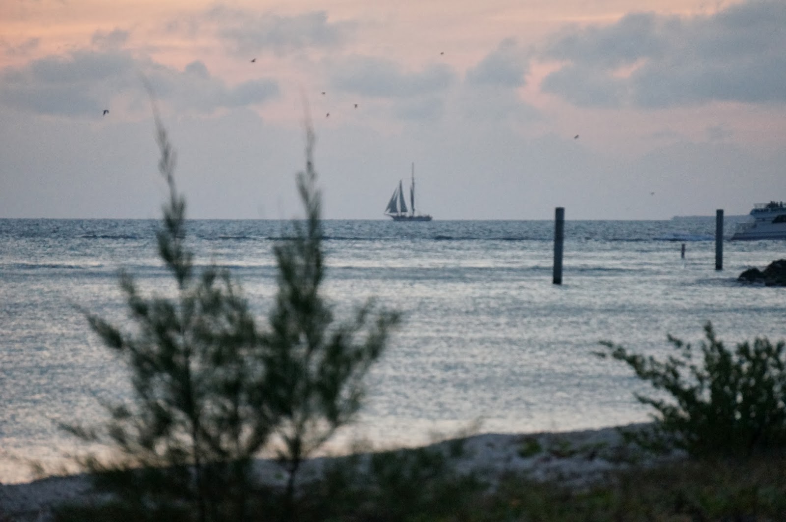 Robbin Neff Photography