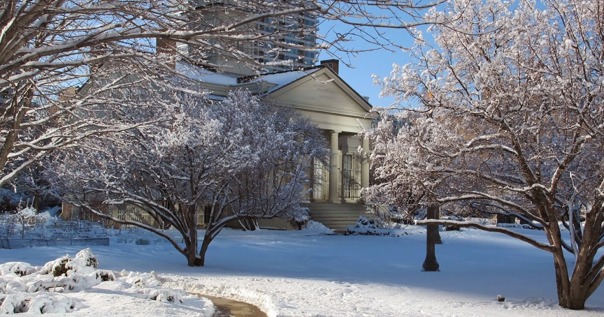 Sloopin - A South Loop Blog: Shots Around the Sloop: Freak Snow Storm