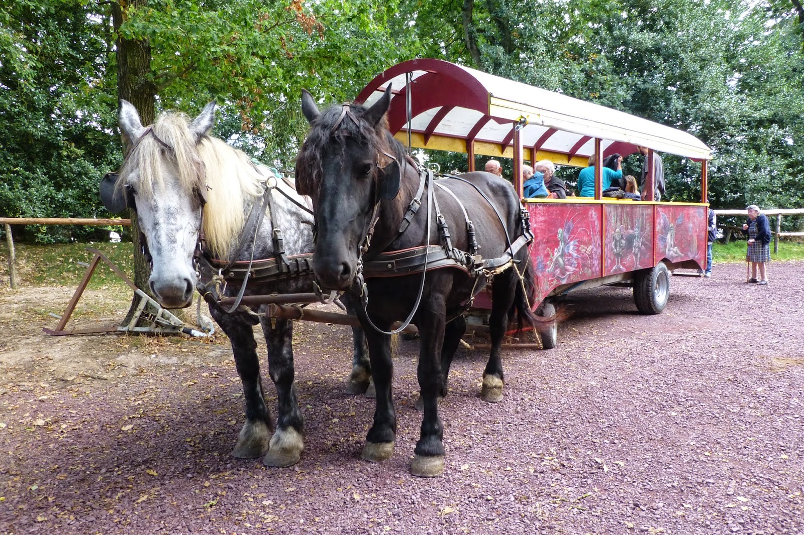 Balade en calèche dans la forêt de Brocéliande | Attelage en Brocéliande