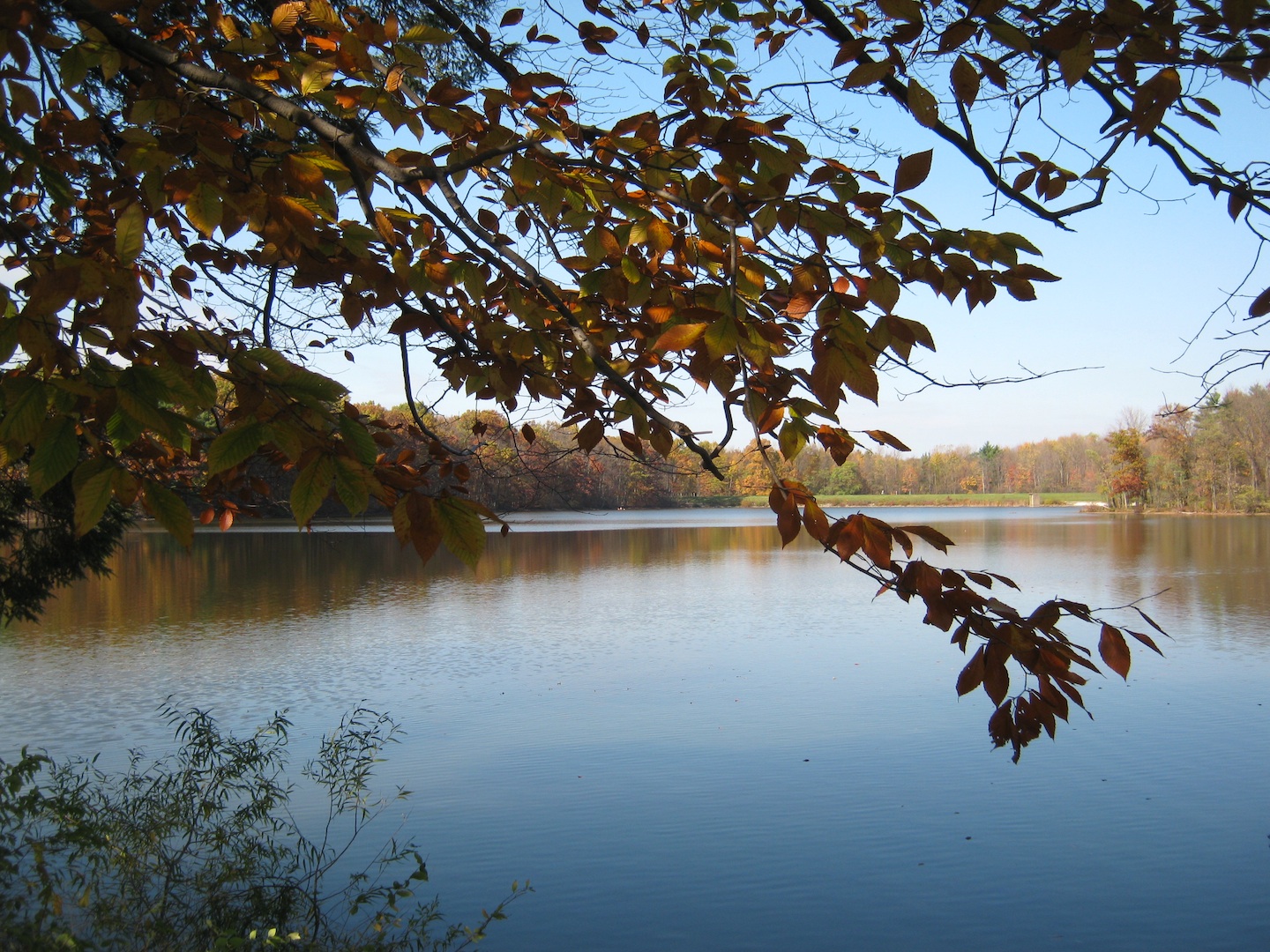 Brady's Bunch of Lorain County Nostalgia: Findley Lake in Fall