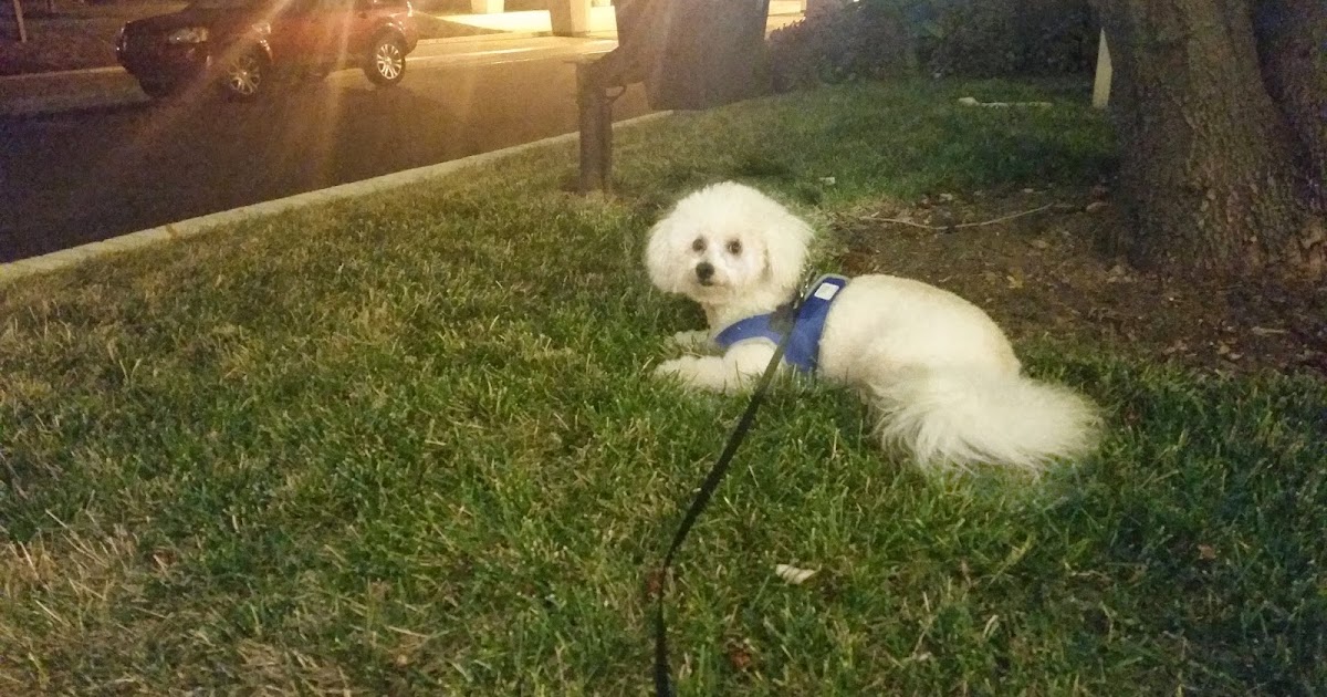 silvieon4: Tasty TUESDAY... gone array...