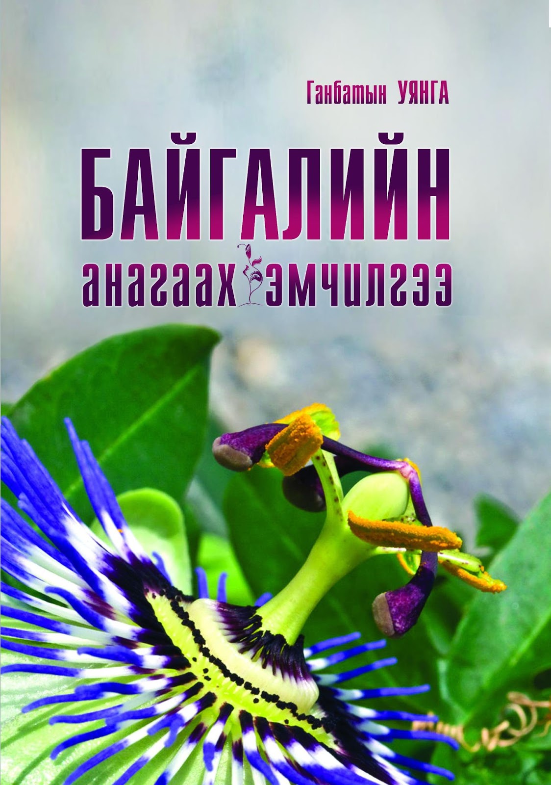 Байгалийн анагаах ухаан Байгалийн анагаах эмчилгээ ном гарлаа