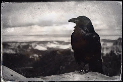 Dark Inklings: Birds of Gothic Lore