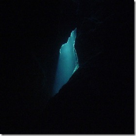 El Camino Alternativo: Balam Acab - Wander/Wonder, naturaleza maya