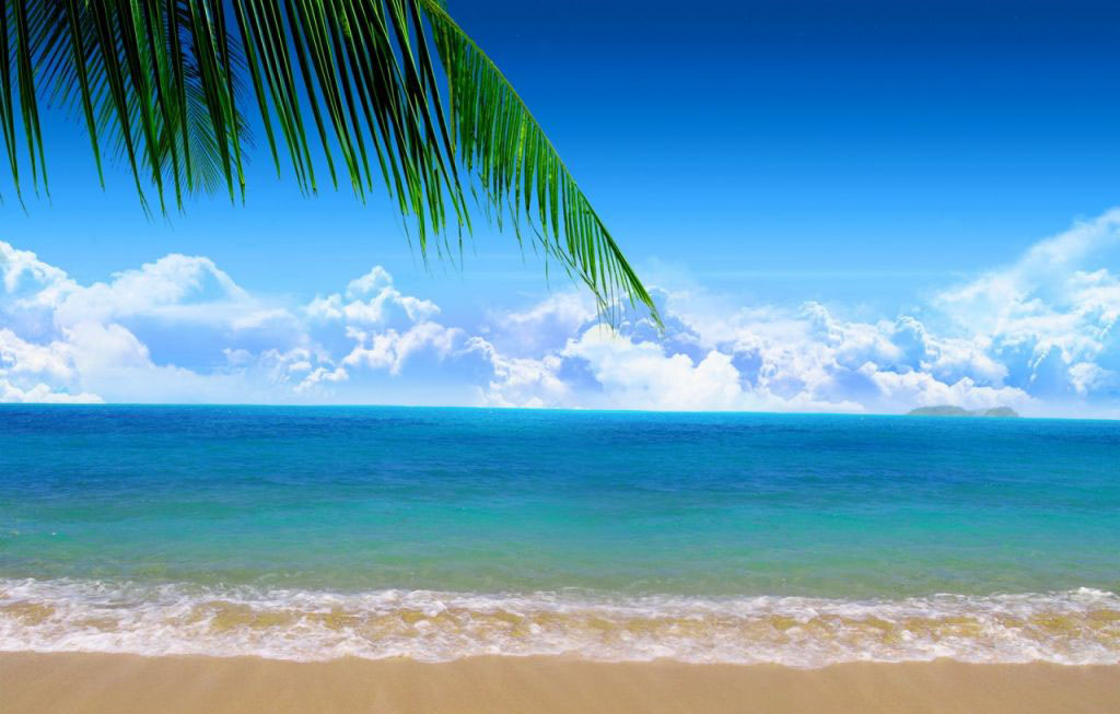 Miss Sapopoo: julio 2011