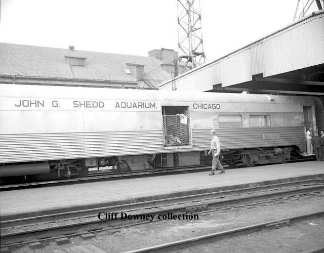 Industrial History: Fish and Horse Railroad Cars