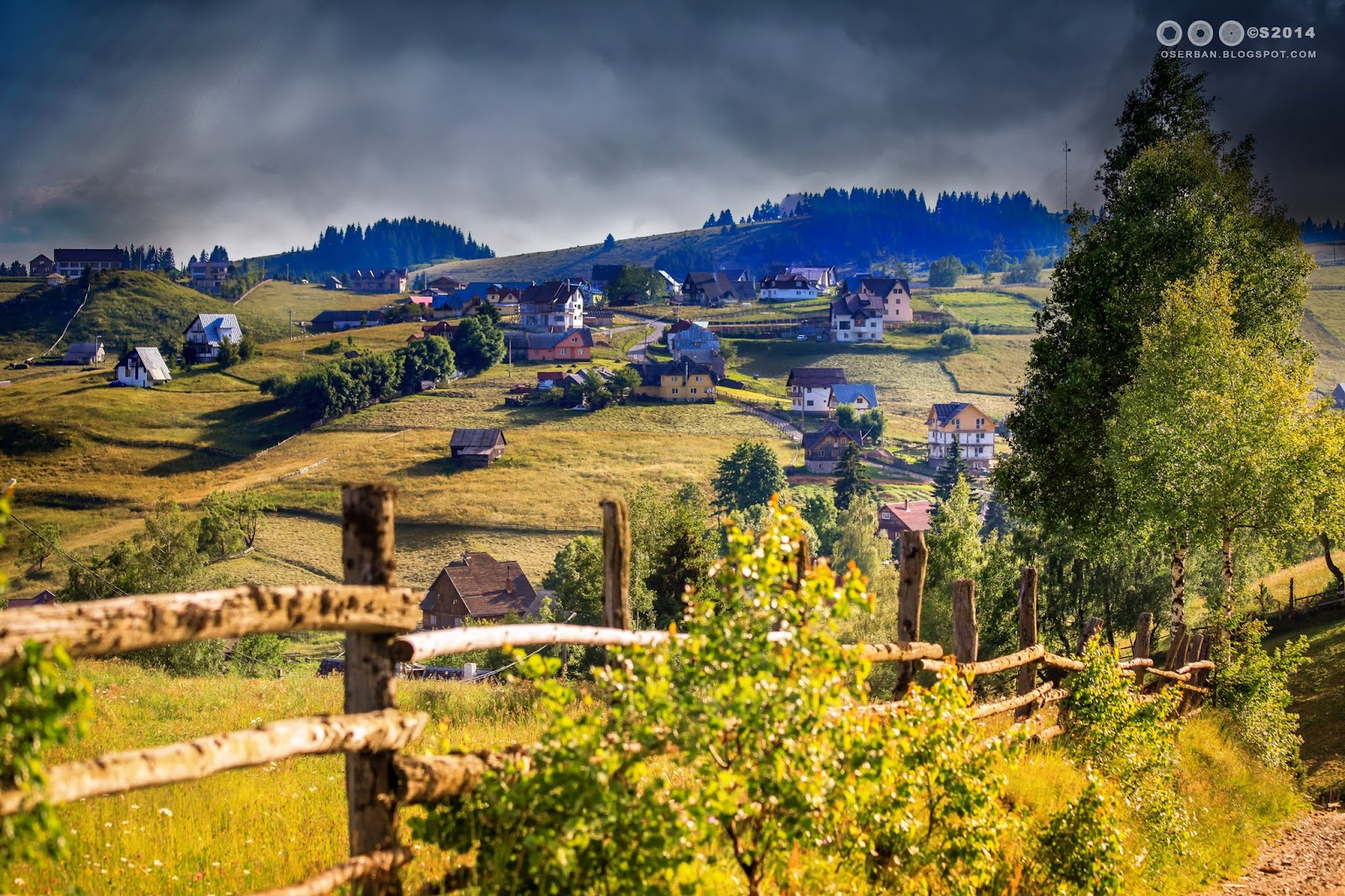 Octavian Serban: The Fence...