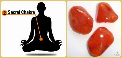 S.O.N.C.E. - Spiritual Opening Now to Cosmic Energy: The Abdominal ...