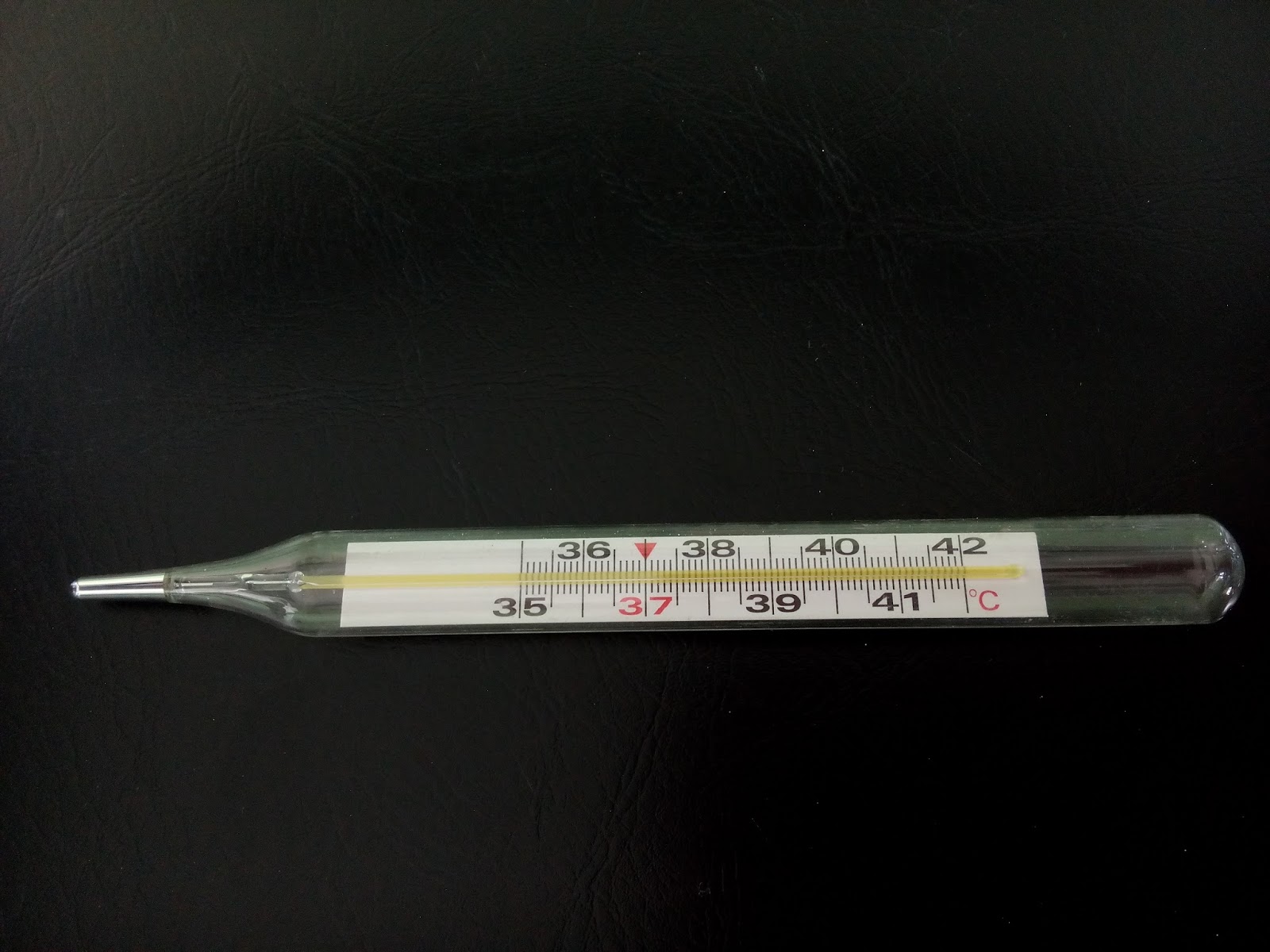 TERMOMETER BADAN | Laboratorium IPA Terpadu