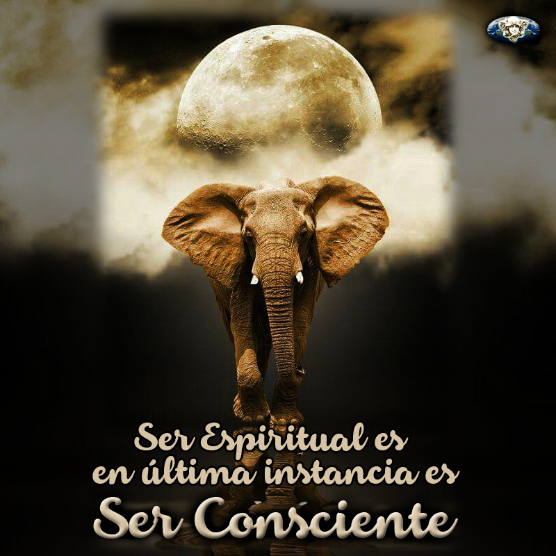 Presente Consciente: Ser CONSCIENTE