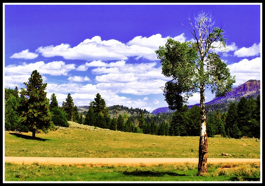 Travelin' Tiff Diaries: Utah's Dixie National Forest - Aug 27-31, 2014