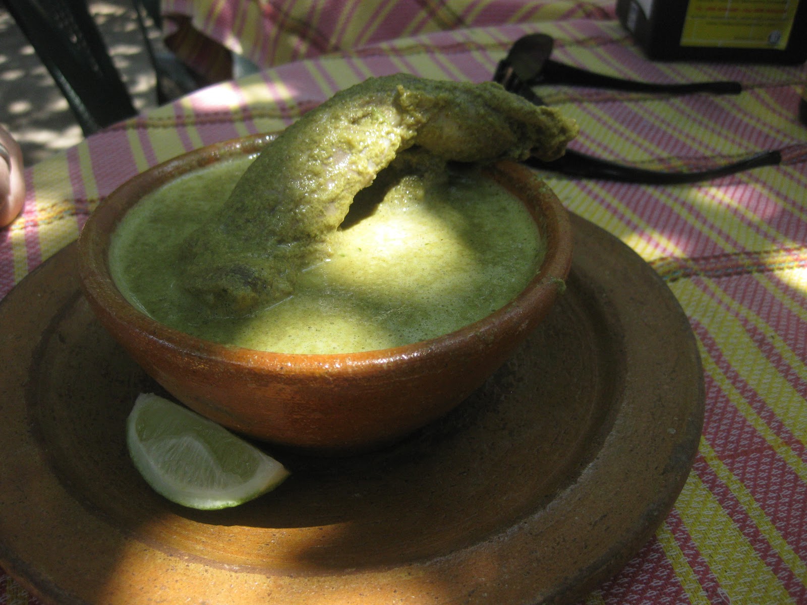 May The Road Rise: Day 5: Ruins and Garrobo