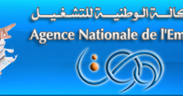 الفرق بين برامج وكالة التشغيل ANEM وبين برامج DAS