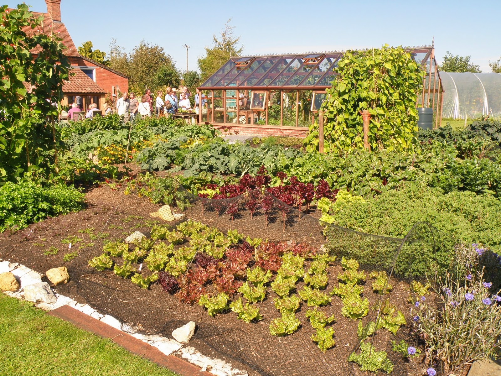 A Blog about Compost: Garden visit - Charles Dowding - Homeacres, Somerset