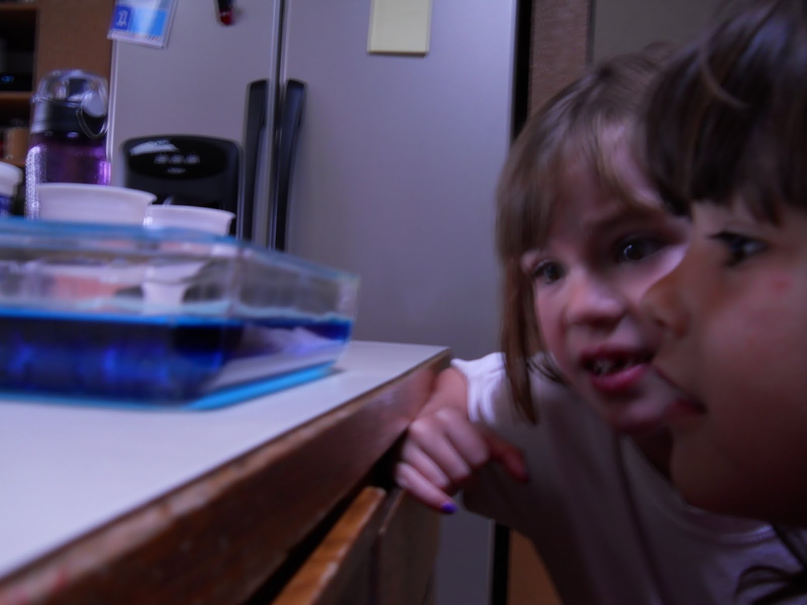 A Pinch of Everything: Creating a Halocline