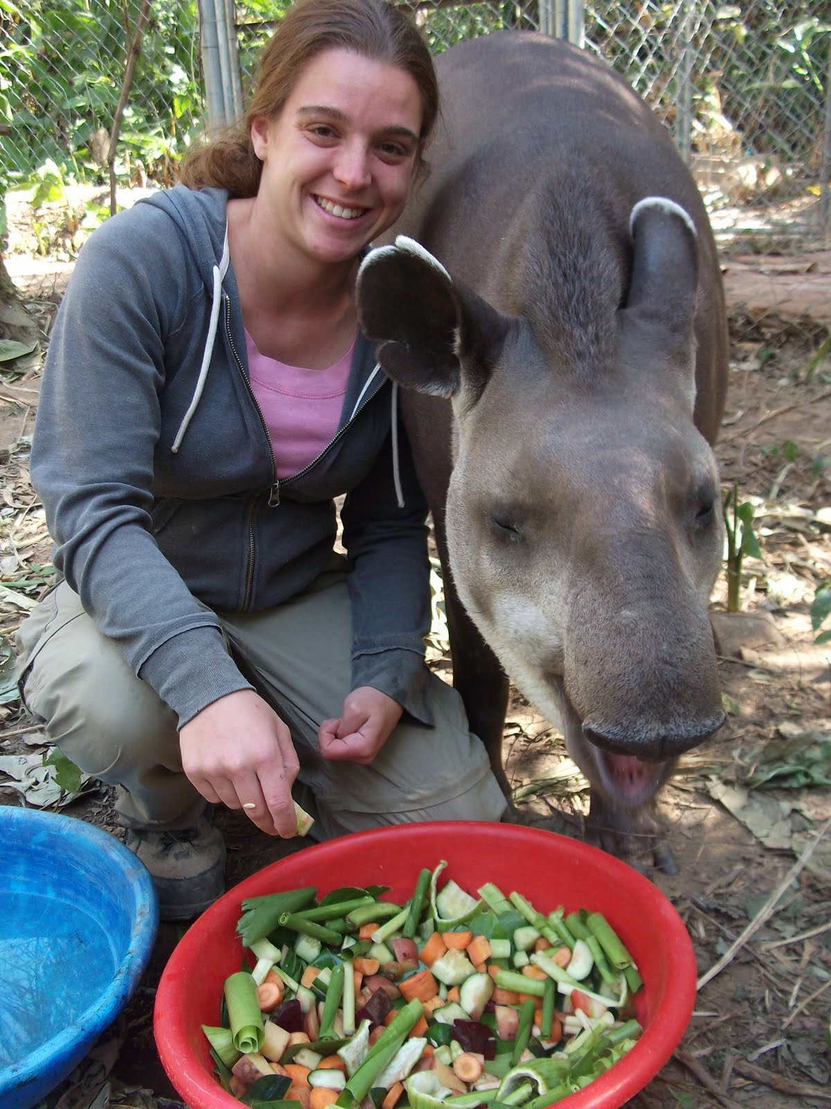 Bolivia Adventures: Ambue Ari Animals - Part One