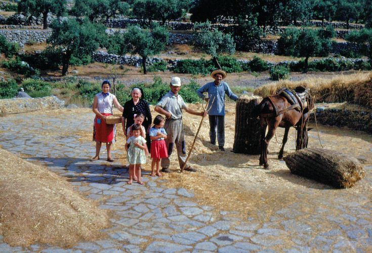 σπυρος πετρολεκας: το ΚΥΠΑΡΙΣΣΙ του χθές .....