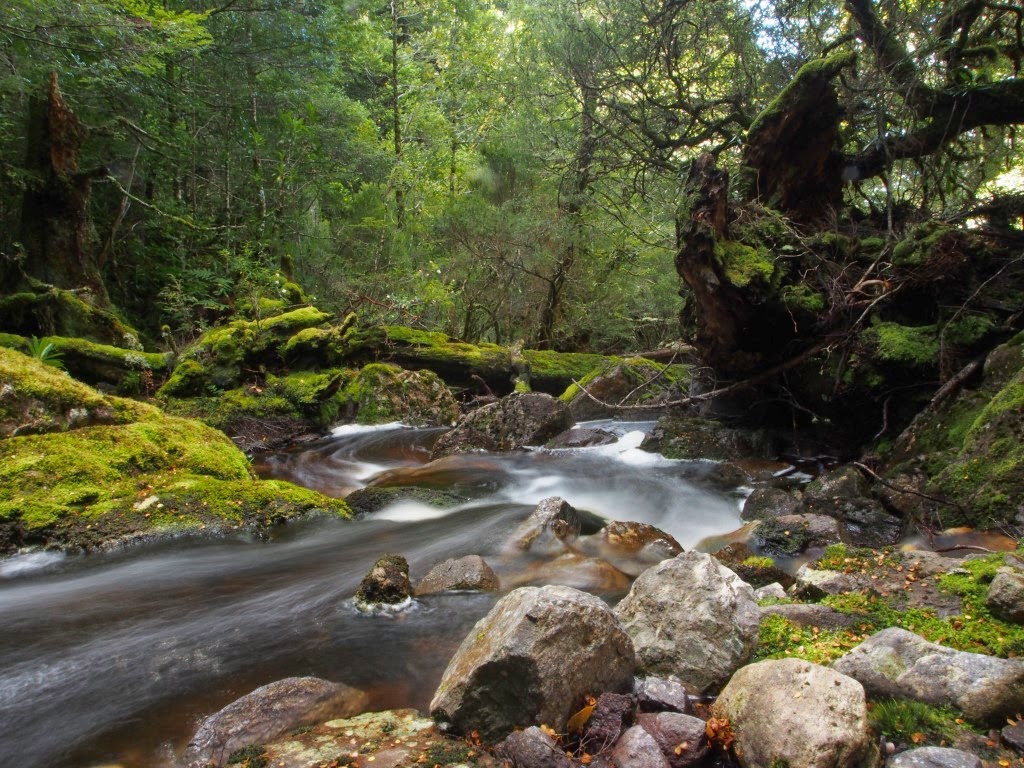 Thirty-Four Tetras: Winterbrook Falls and Black Bluff