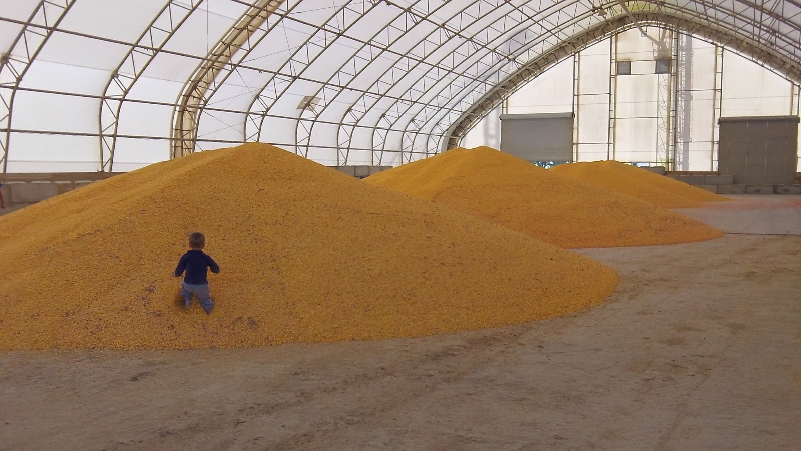 Parker Prep: C is for Corn