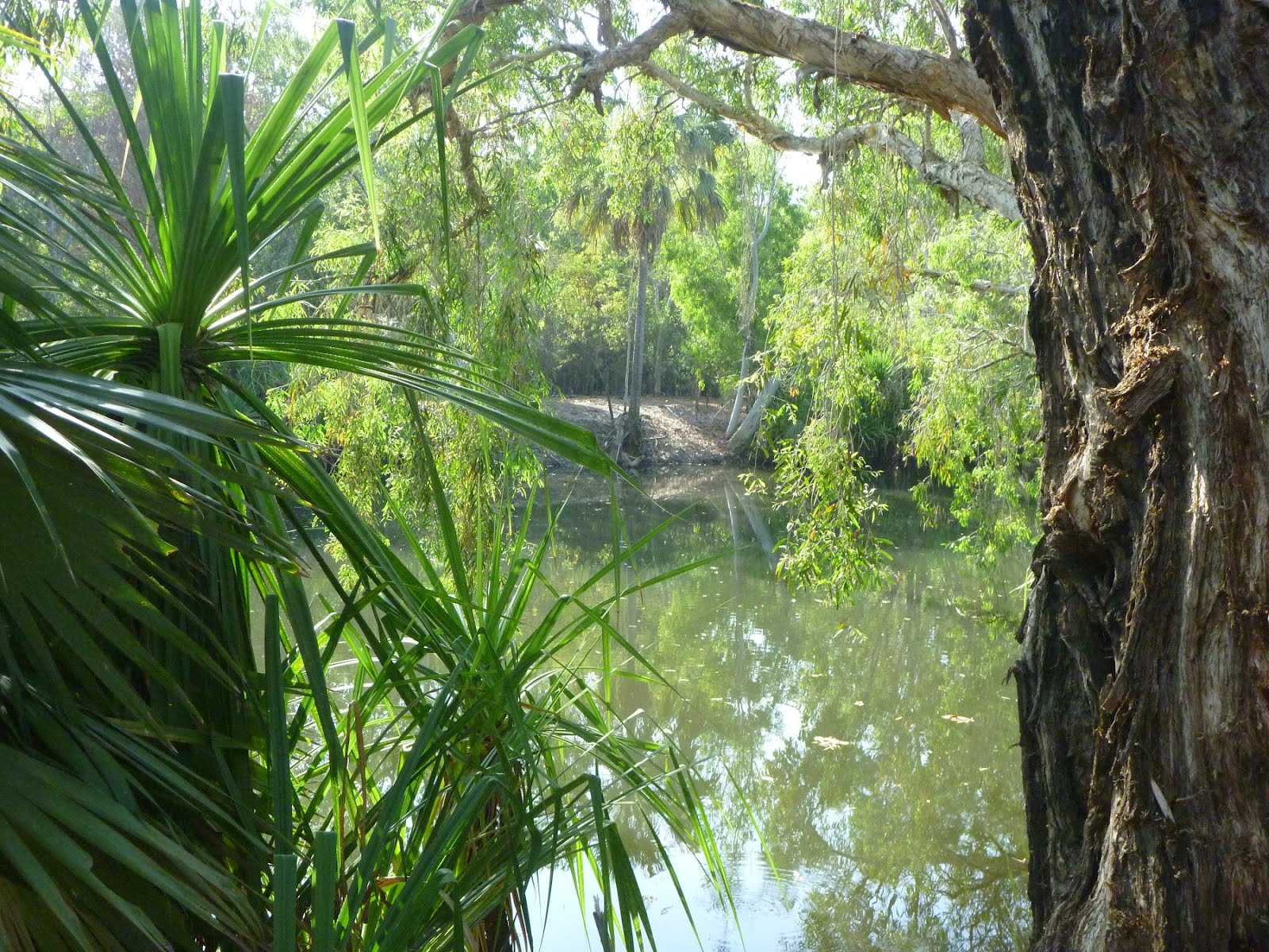 Just Keep on travelling: Mataranka, Northern Territory