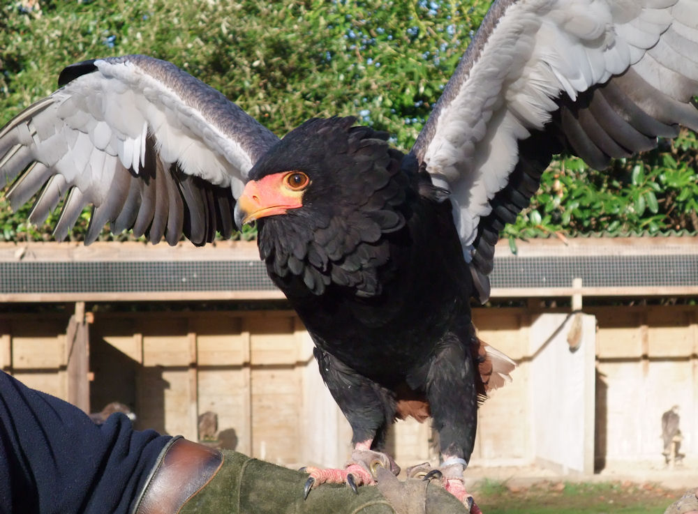 Ink on My Fingers: Spinning Around...