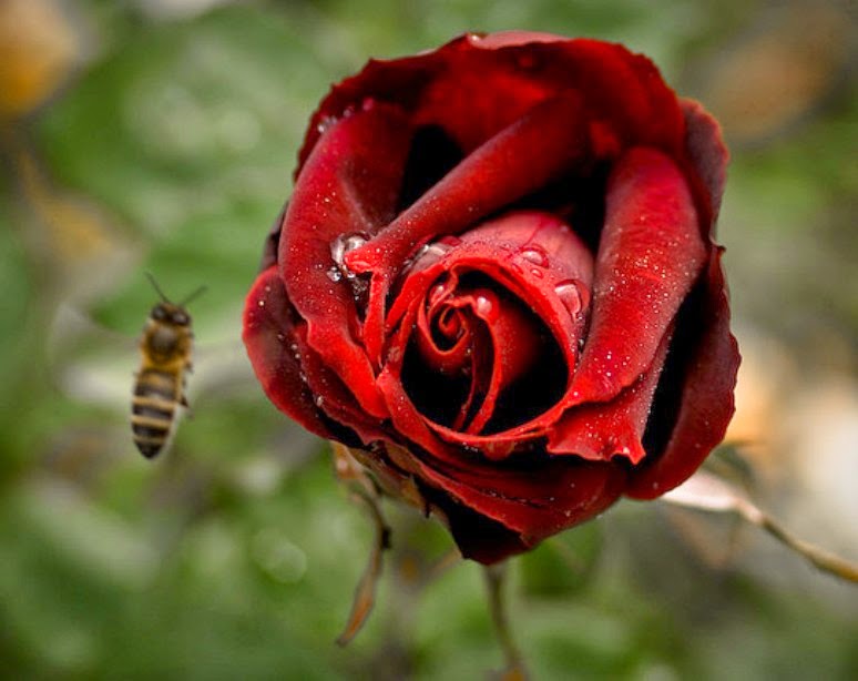 Memorias 24: Tu Boca