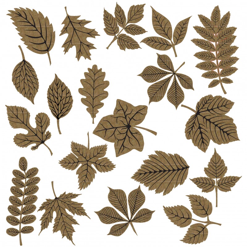 My Funky Scrapbook Blog: Picnic