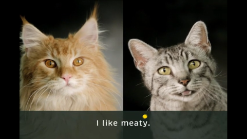 Catsparella: Iconic Meow Mix Theme Comes Out Of Retirement...Or Does It?