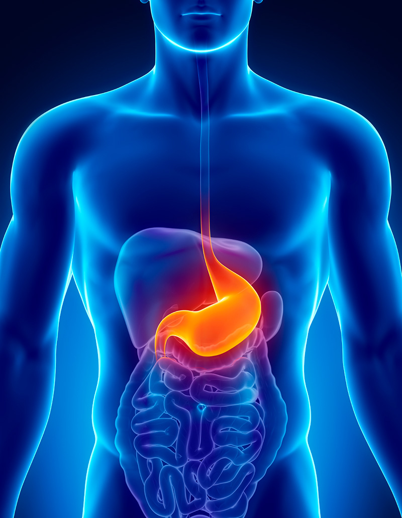 Dr. Cristina Toteanu: Boala de reflux gastro-esofagian