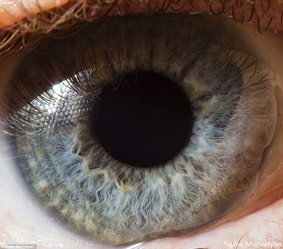 Fenryss: Extreme Close Ups of the Human Eye