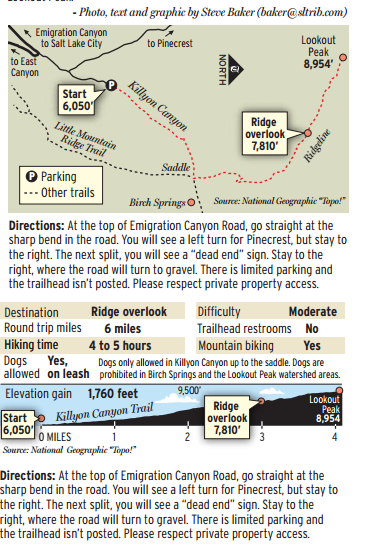 Katie Wanders : Killyon Canyon Hike, Emigration Canyon, Utah