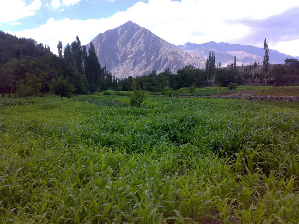 Tour Pakistan: BEAUTIFUL SALTORO VALLEY near (Goma) IN NORTHERN AREAS ...