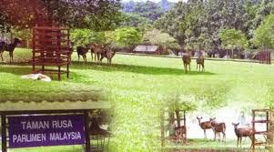 FIRASFARMS: RUSA