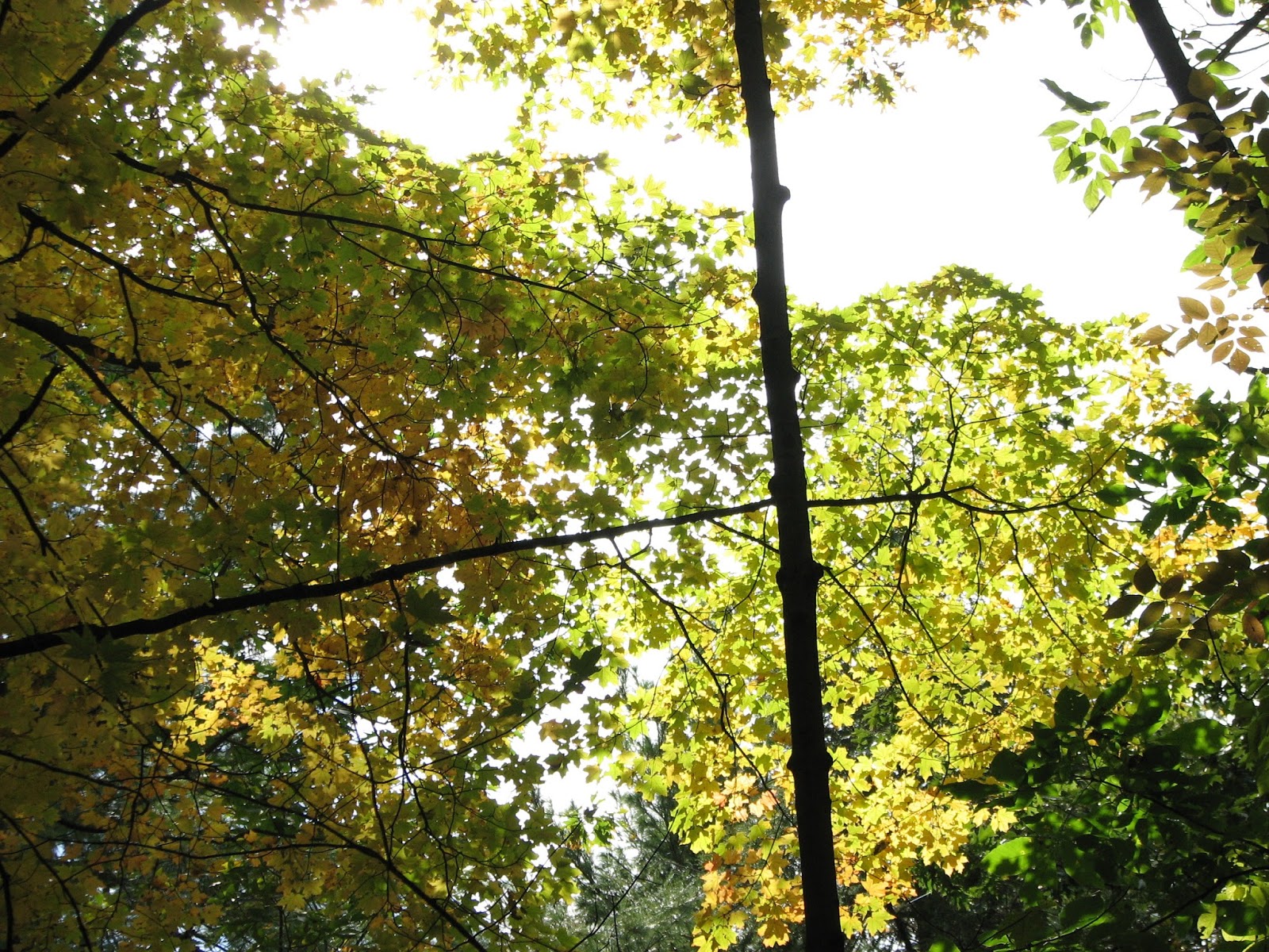 Red Rocks Park -South Burlington, Vermont | Litter with a Story To Tell